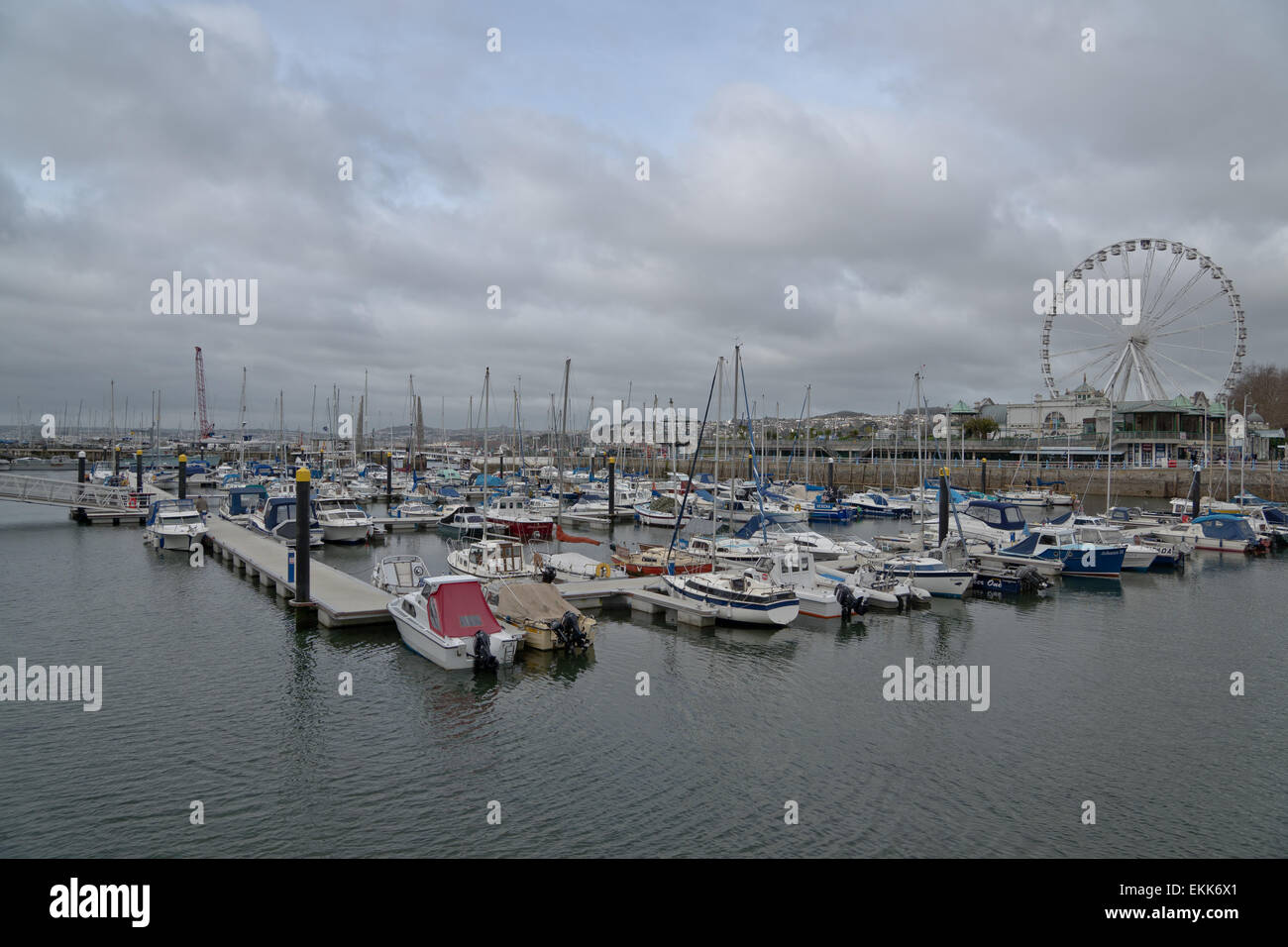 A view of Torquay harbour Torbay Devon Stock Photo - Alamy