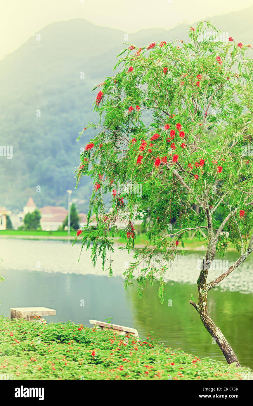 Vintage style landscape with beautiful tree and lake Stock Photo - Alamy