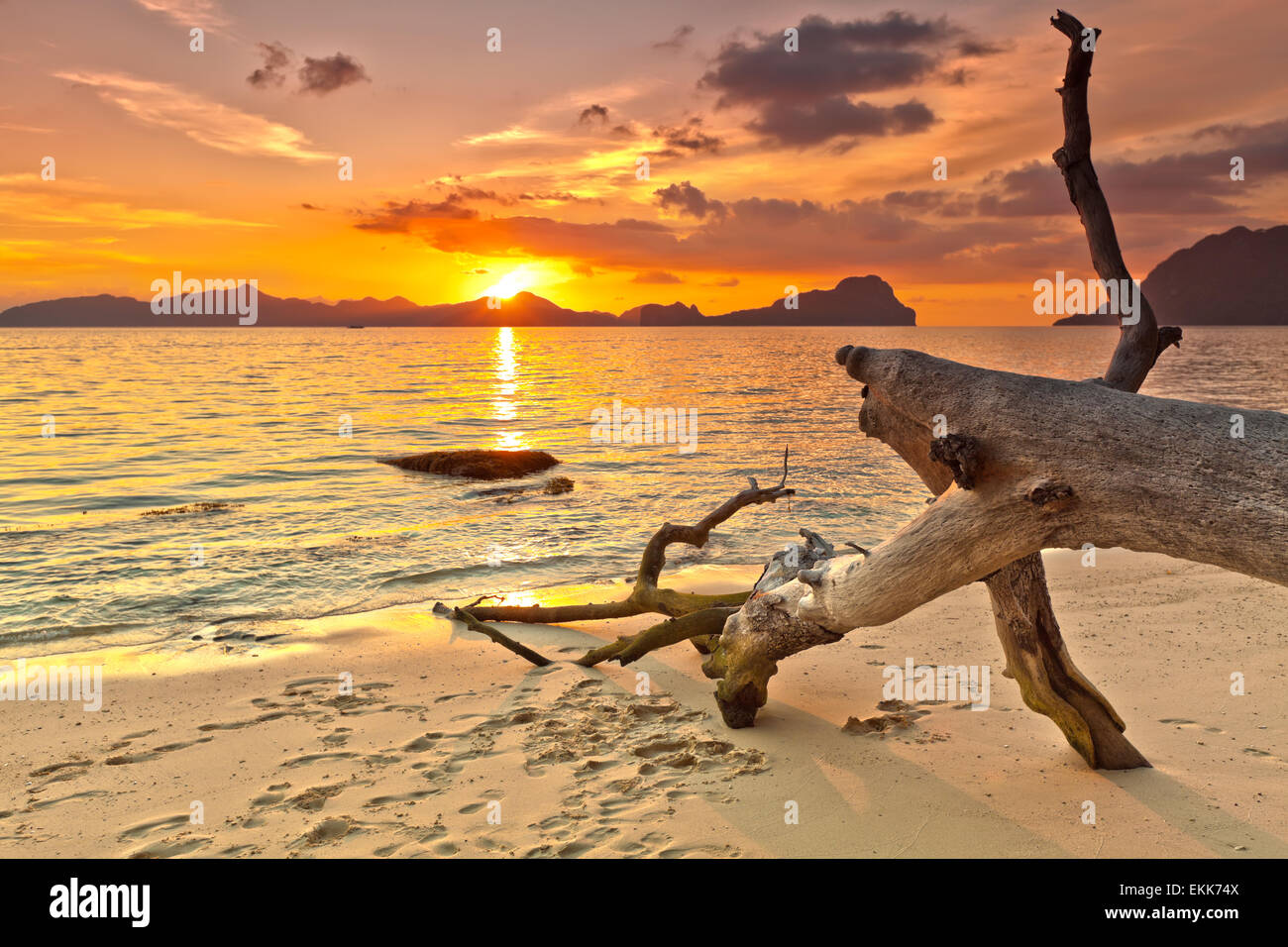 Sunset over the island. Dry tree on the foreground Stock Photo - Alamy