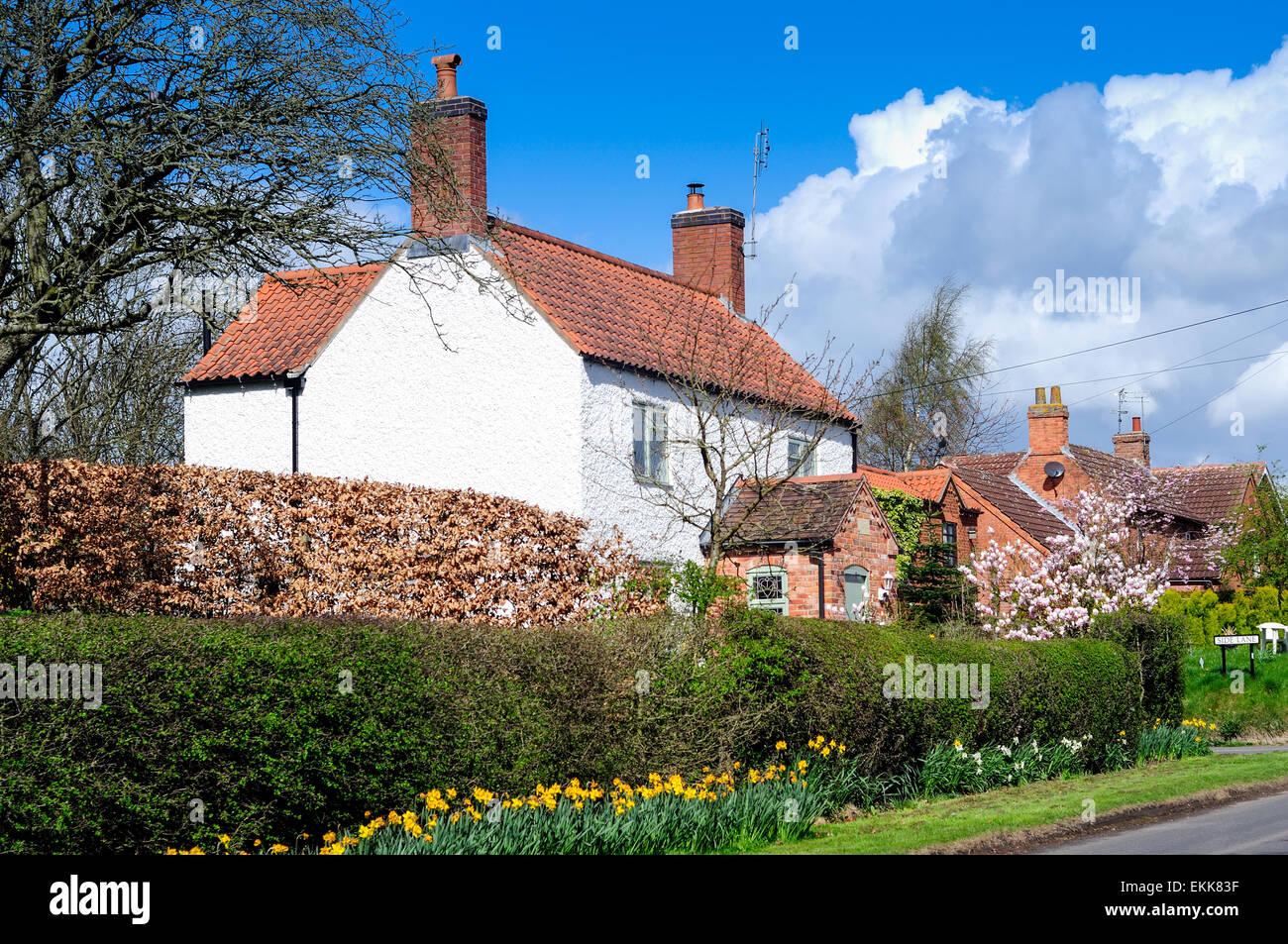 Eakring, Nottinghamshire, UK:11th April 2015.Beautiful spring colours ...
