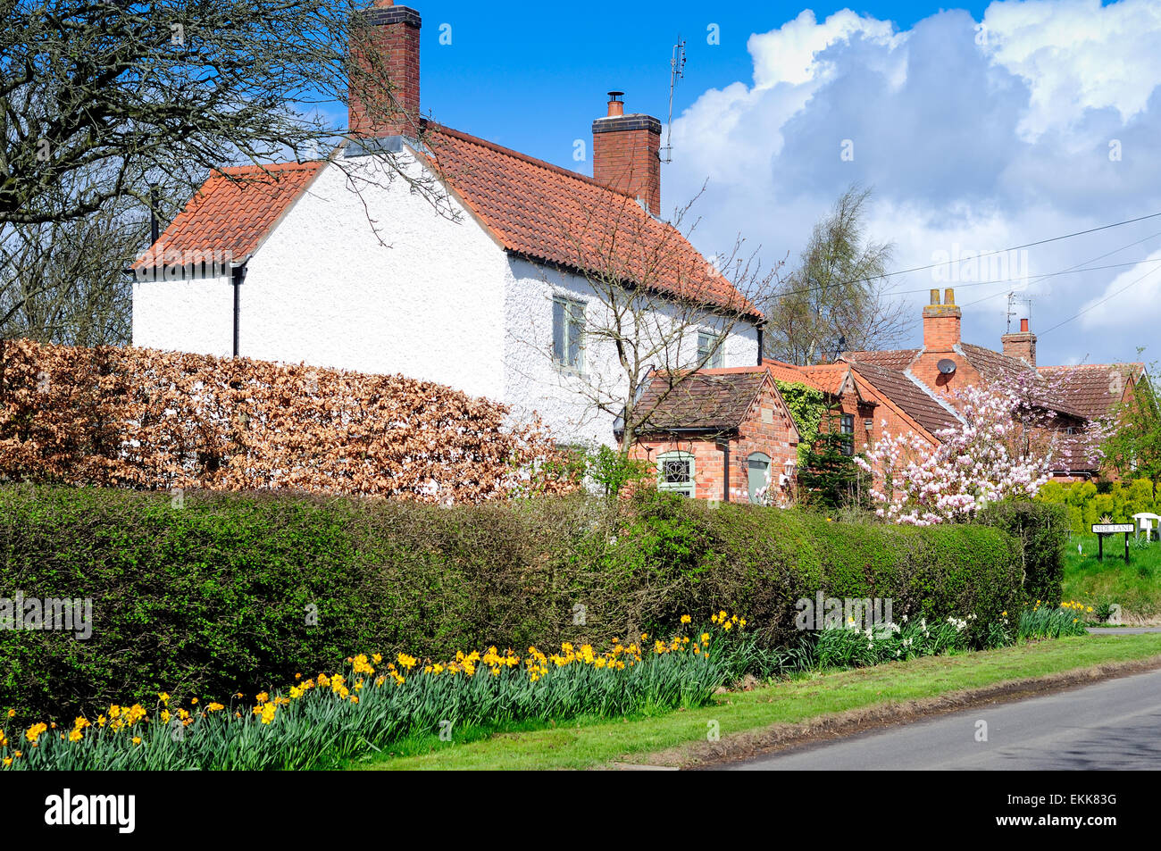 Eakring, Nottinghamshire, UK:11th April 2015.Beautiful spring colours ...