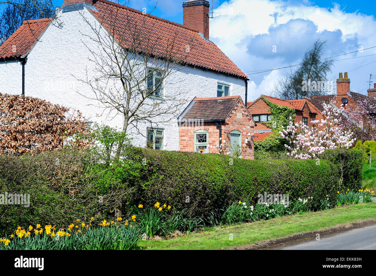 Eakring, Nottinghamshire, UK:11th April 2015.Beautiful spring colours ...
