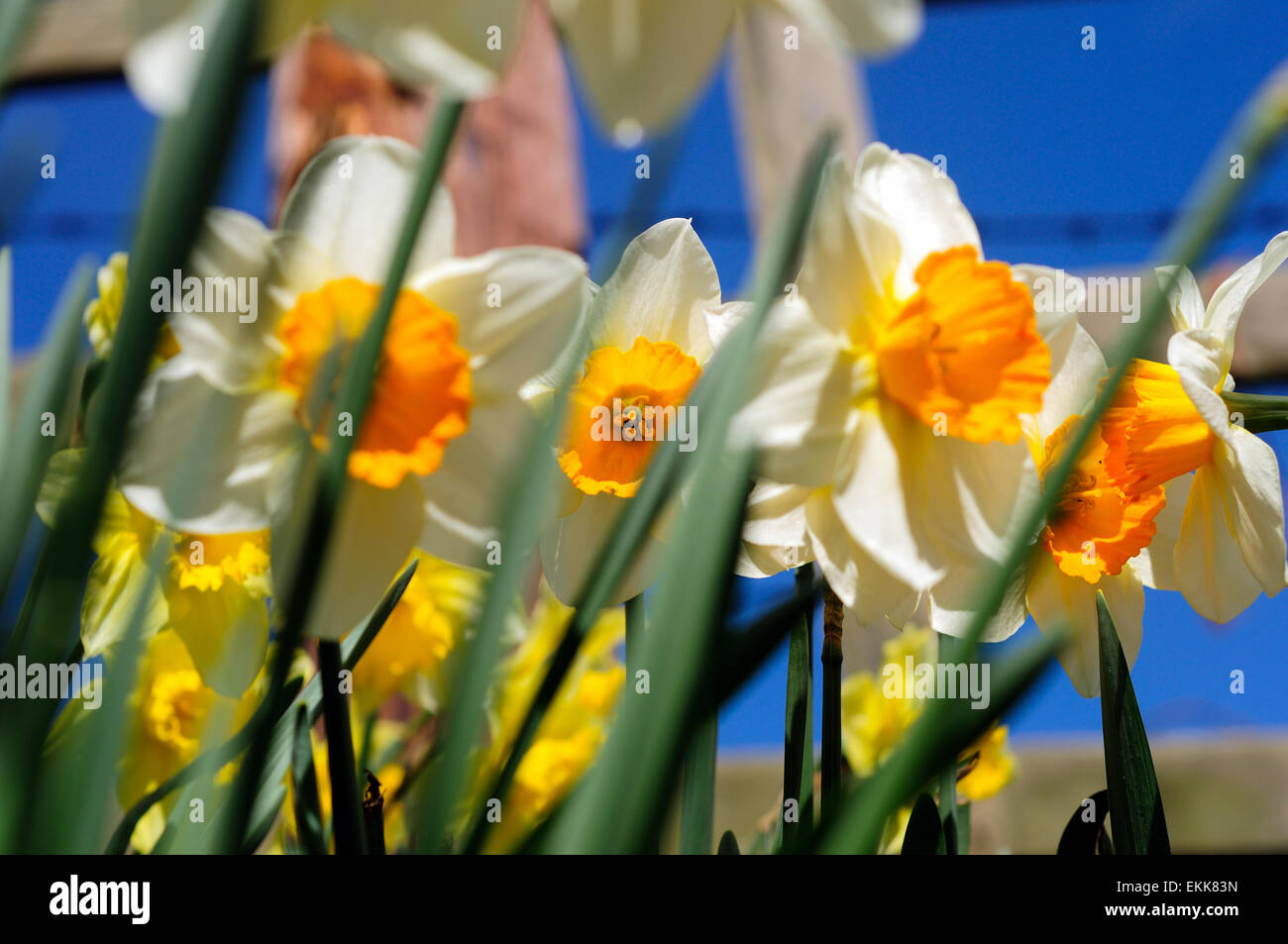 Eakring High Resolution Stock Photography and Images - Alamy