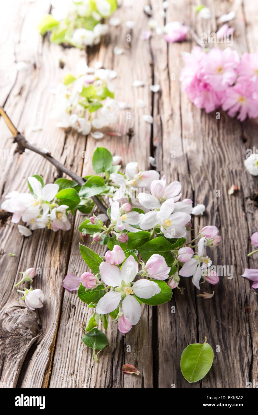 Spring background with beautiful blossom Stock Photo - Alamy