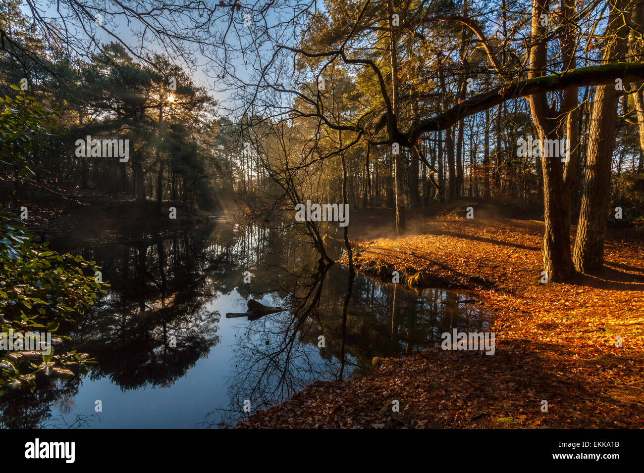 Bournemouth Autumn Sunset High Resolution Stock Photography and Images ...