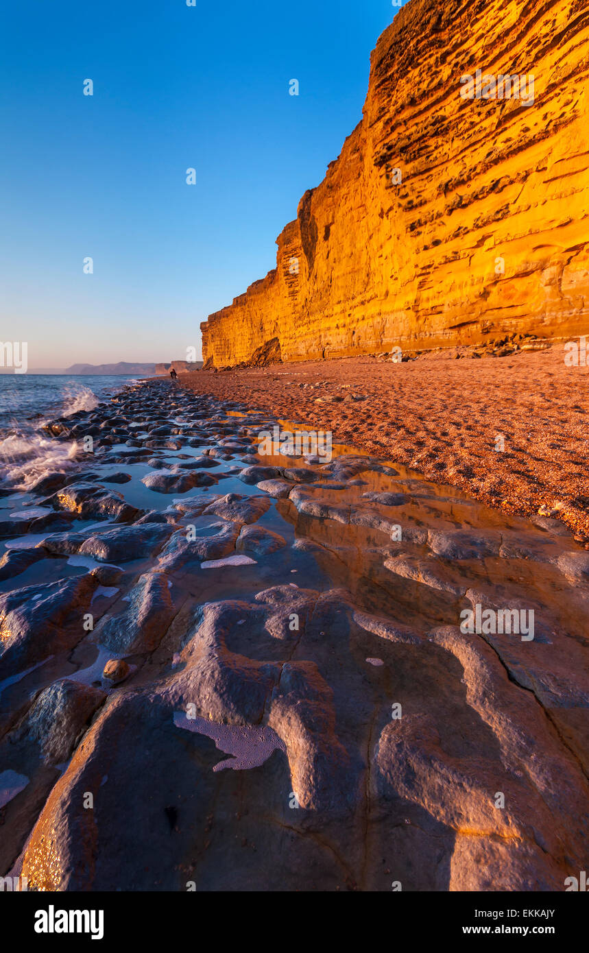 Sandstone cliffs tower over golden sandy beaches in Dorset Stock Photo ...