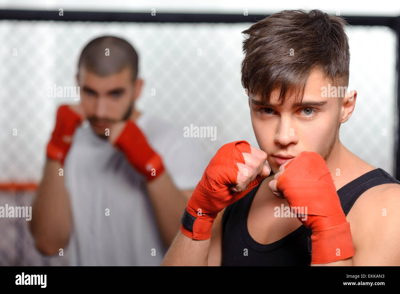 Boxers ready to start the fight Stock Photo - Alamy
