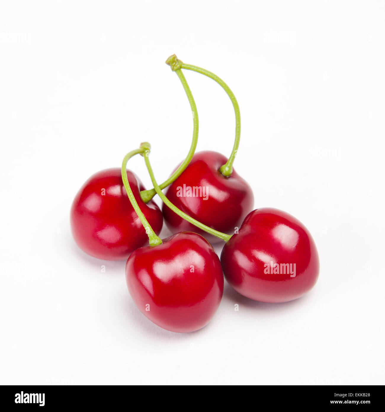 Big juicy ripe cherry Stock Photo - Alamy