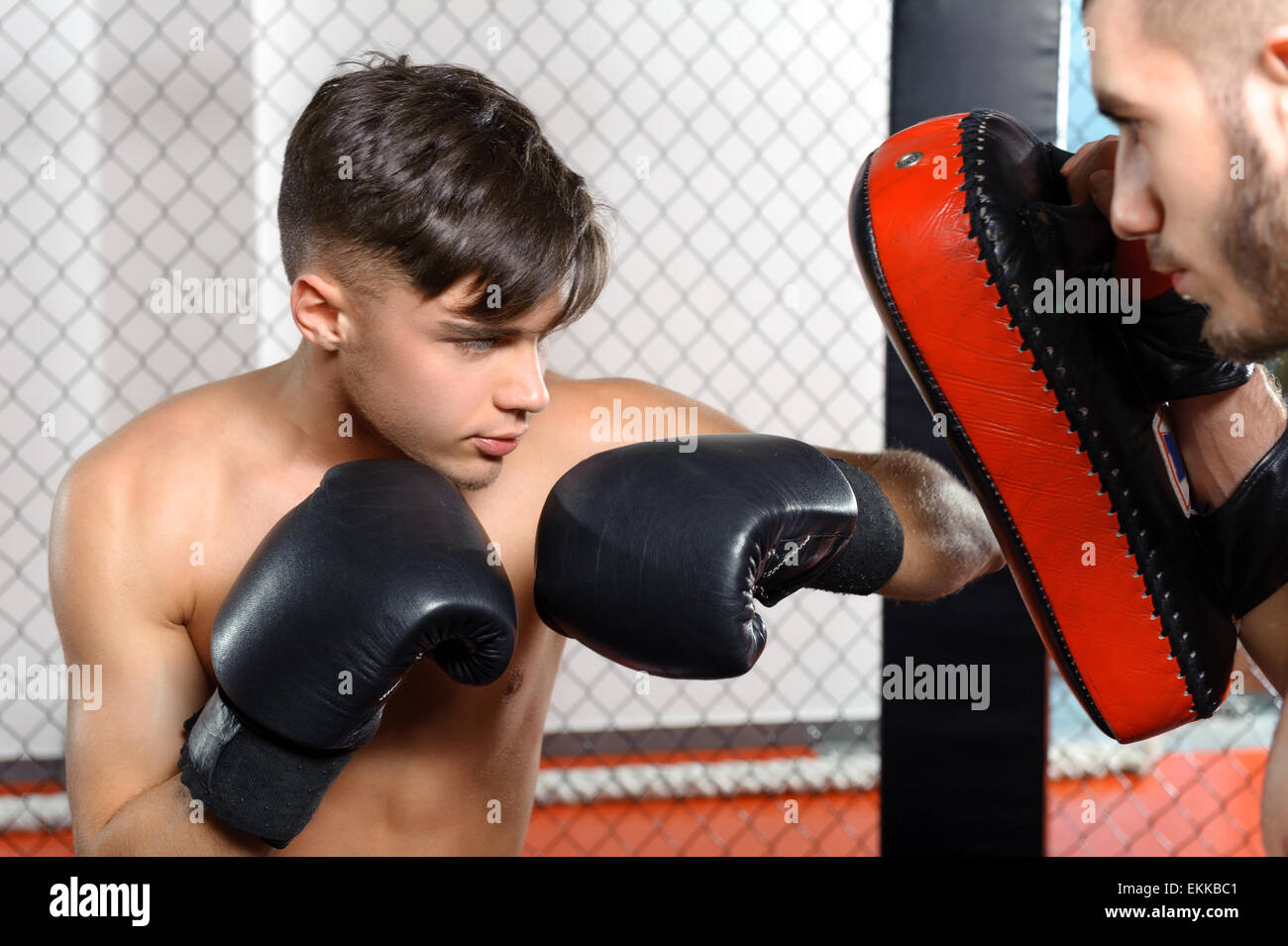 Punching pad hi-res stock photography and images - Alamy