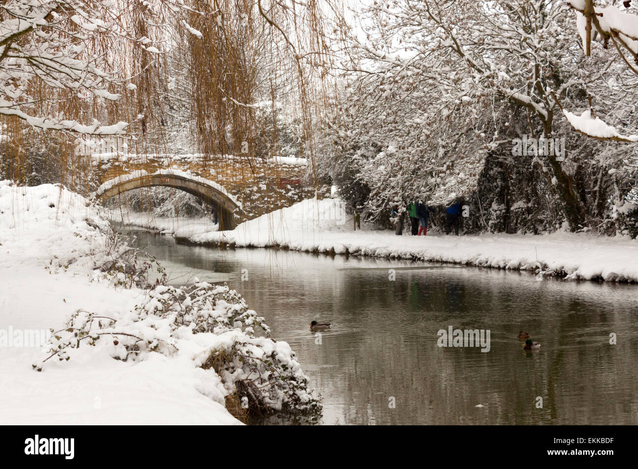 Around kennet avon canal hi-res stock photography and images - Alamy