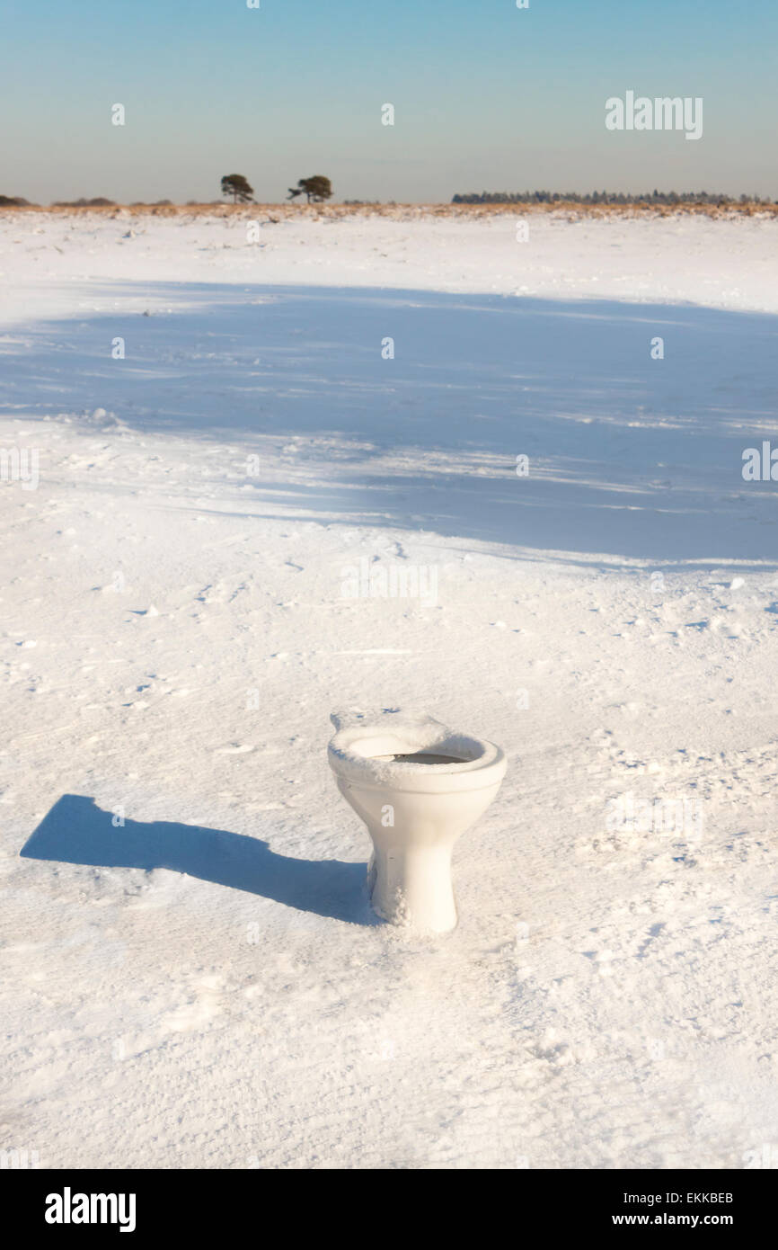 The New Forest bathroom facilities are a little behind the times. A WC ...