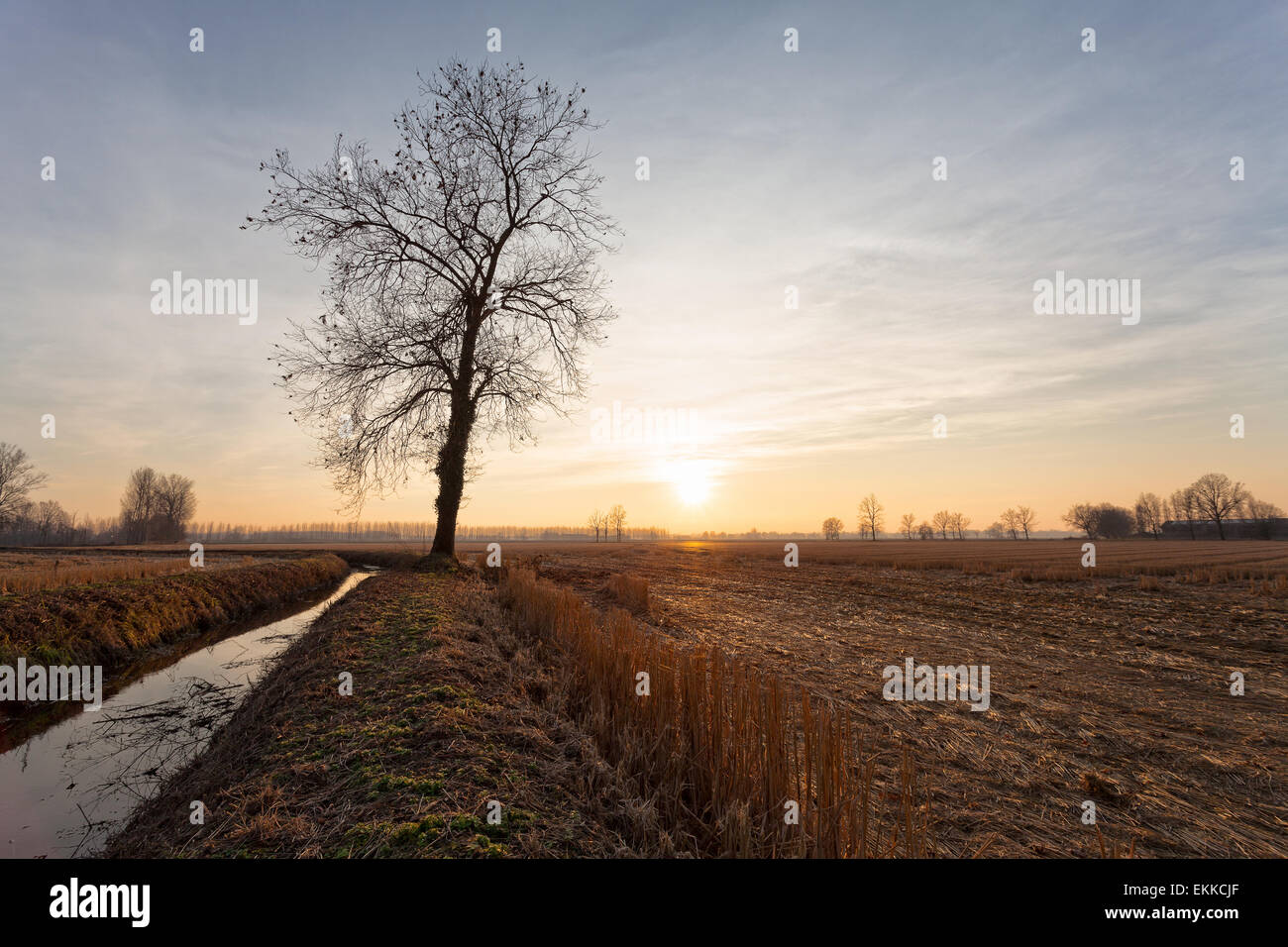 Padan plain hi-res stock photography and images - Alamy