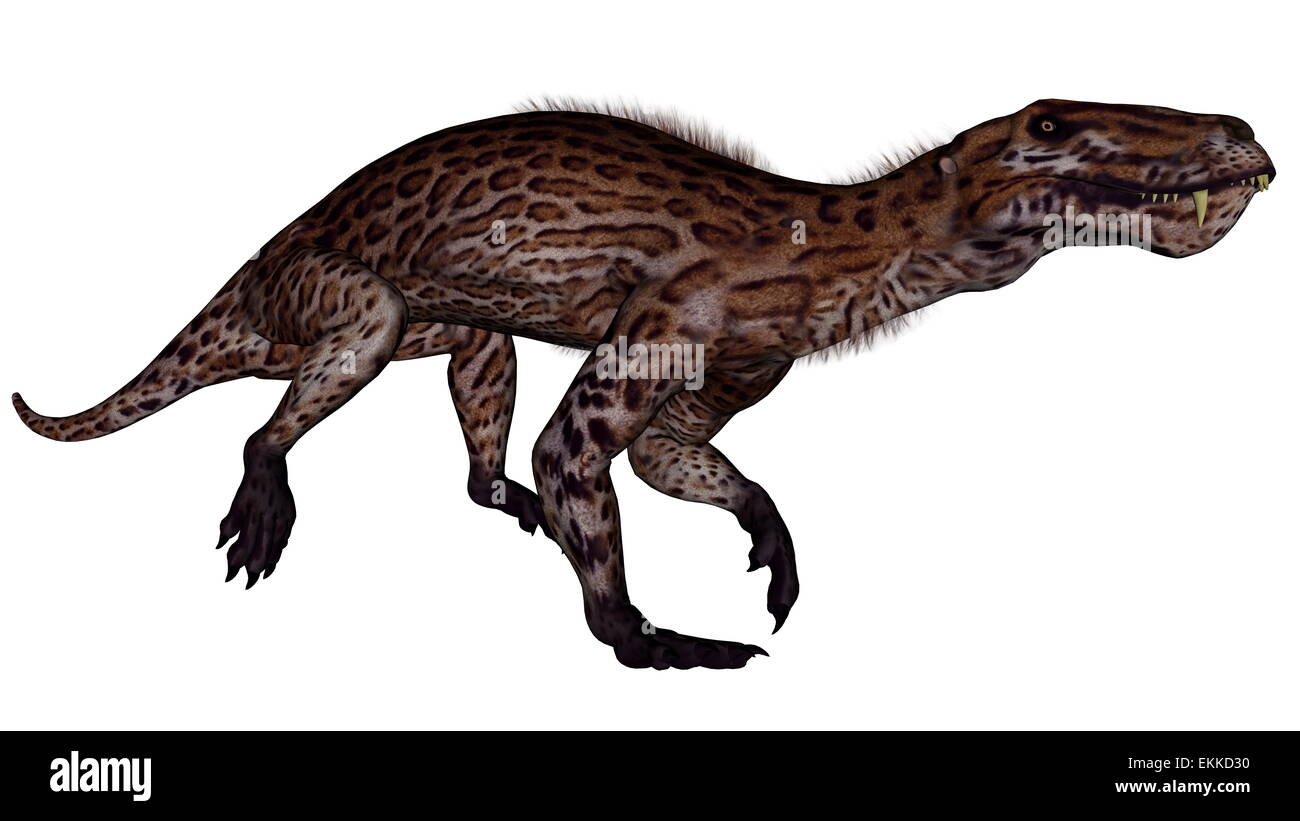 Lycaenops dinosaur walking isolated in white background - 3D render ...