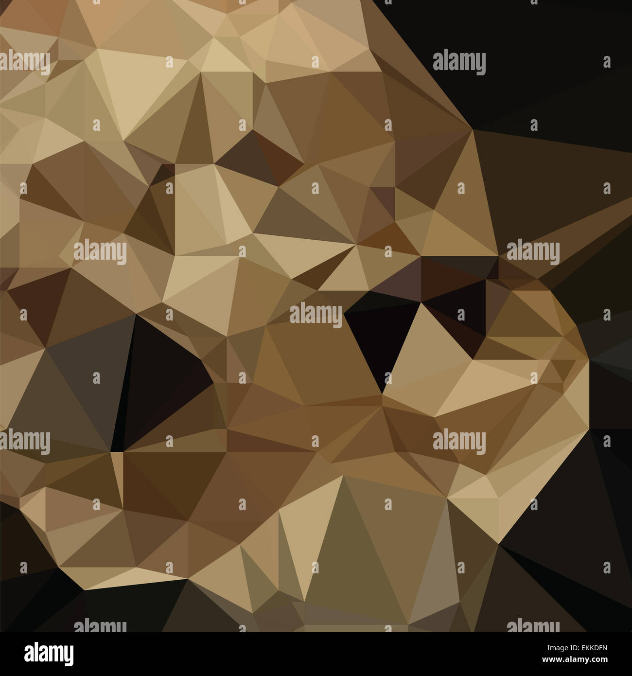 Poligonal structure hi-res stock photography and images - Alamy