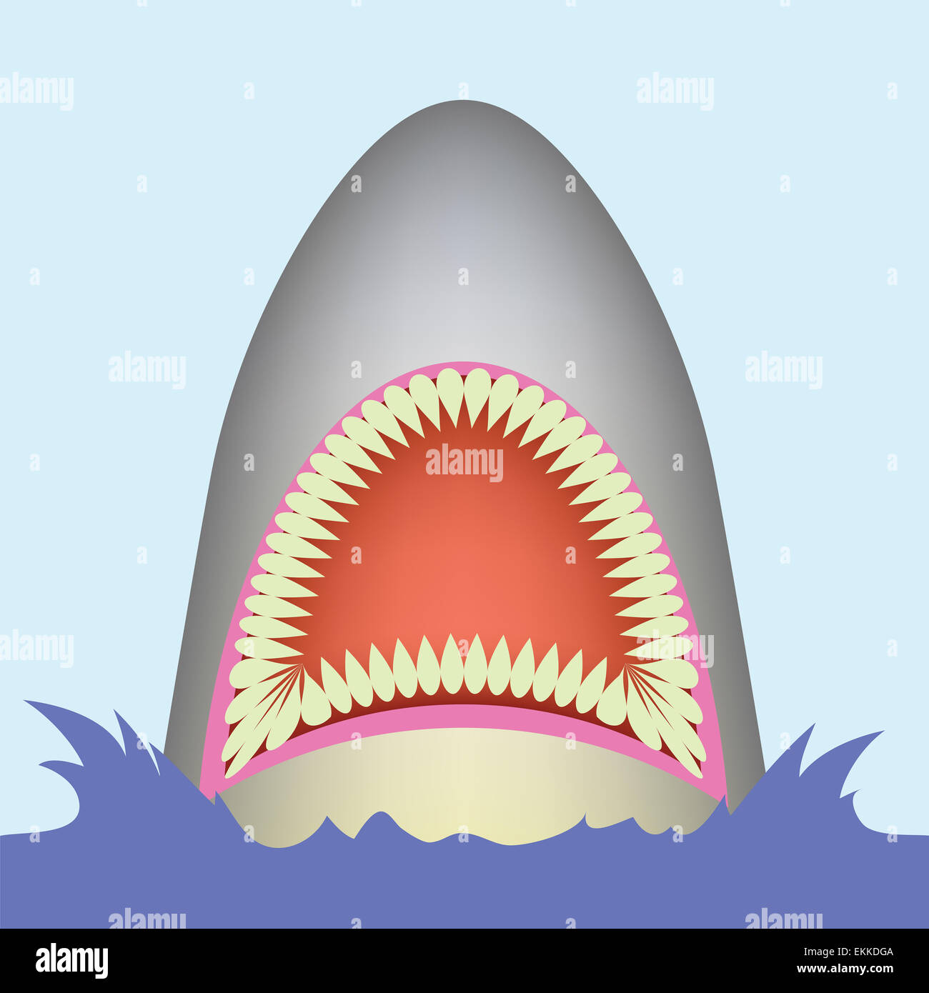 Great white shark face hi-res stock photography and images - Alamy