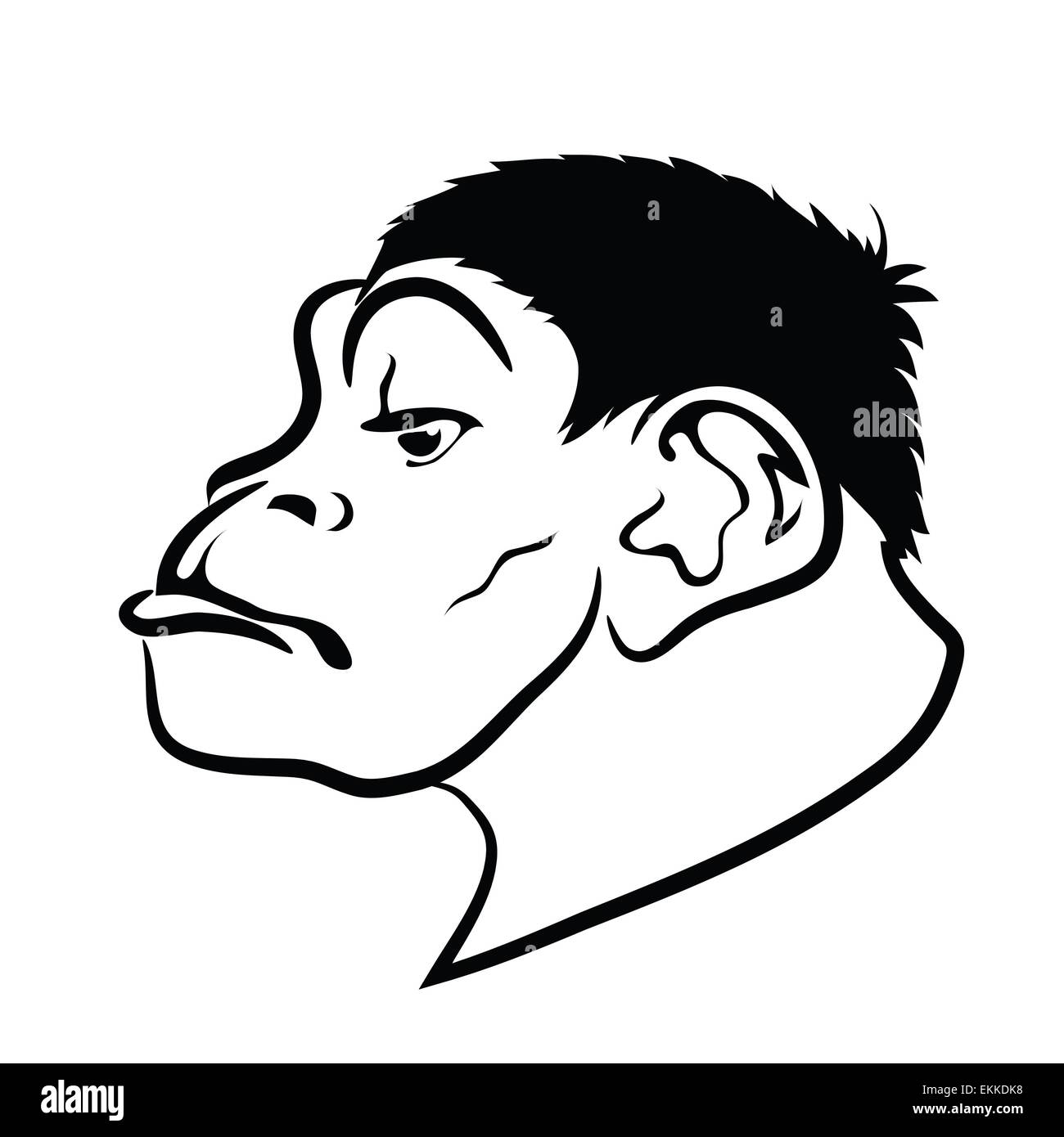 Simple monkey head cartoon hi-res stock photography and images - Alamy