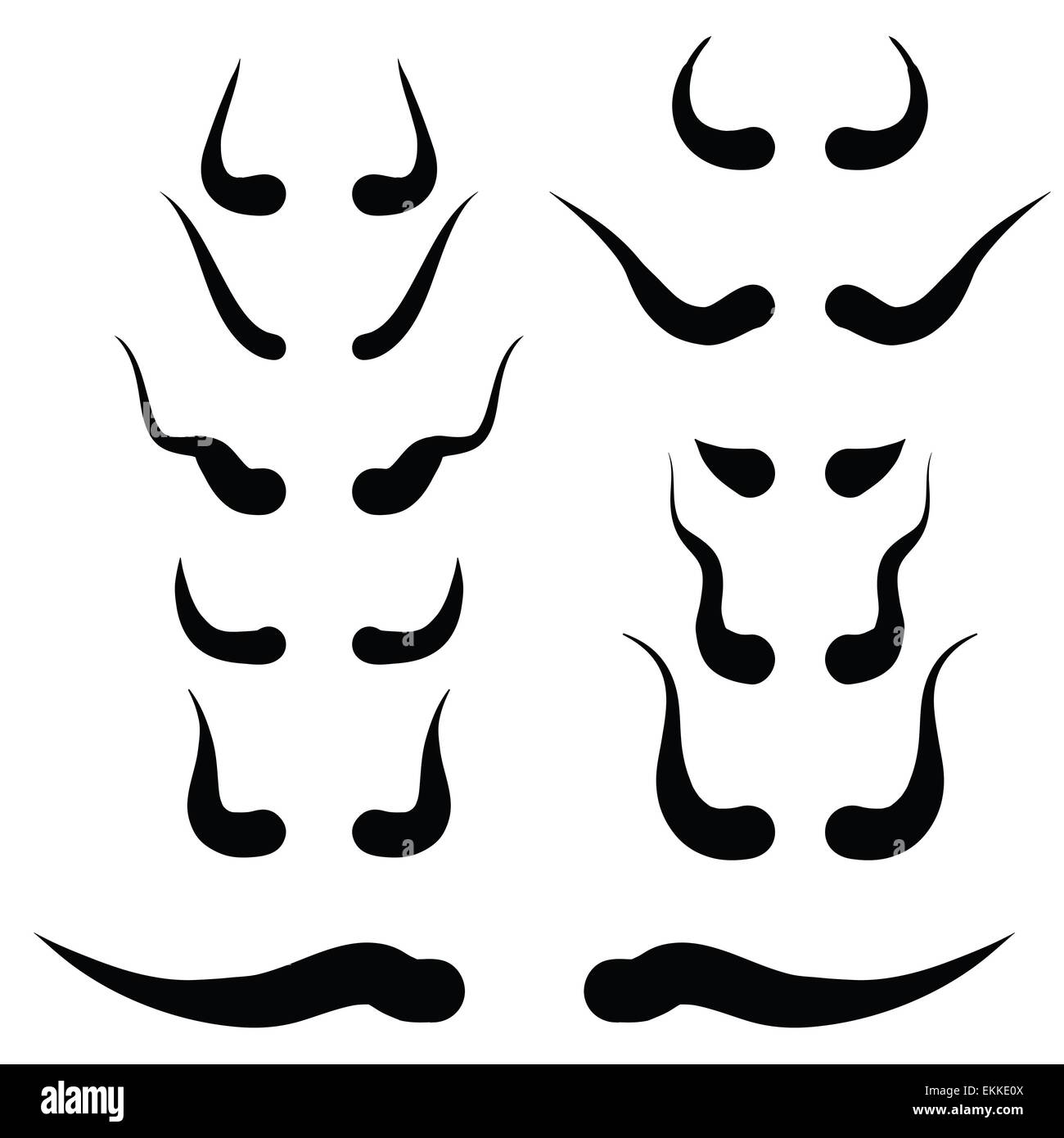 Horn horns horned sheep Cut Out Stock Images & Pictures - Alamy