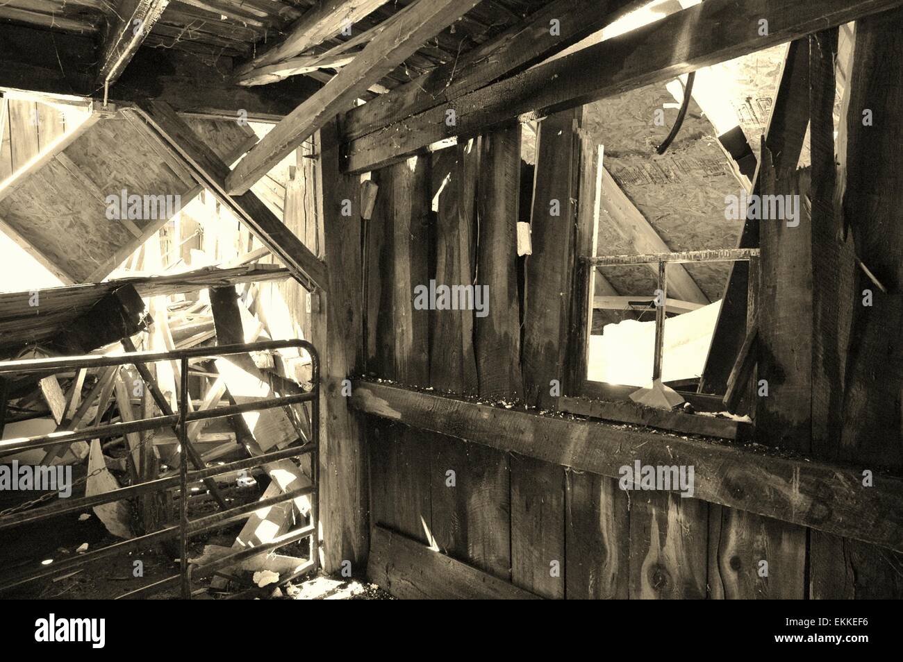 Timber collapse hi-res stock photography and images - Alamy