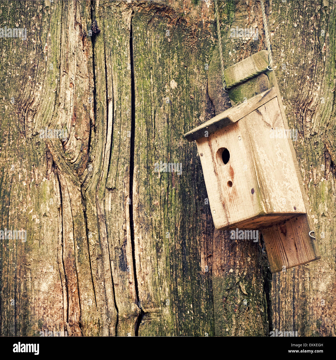 Nesting Board High Resolution Stock Photography and Images - Alamy