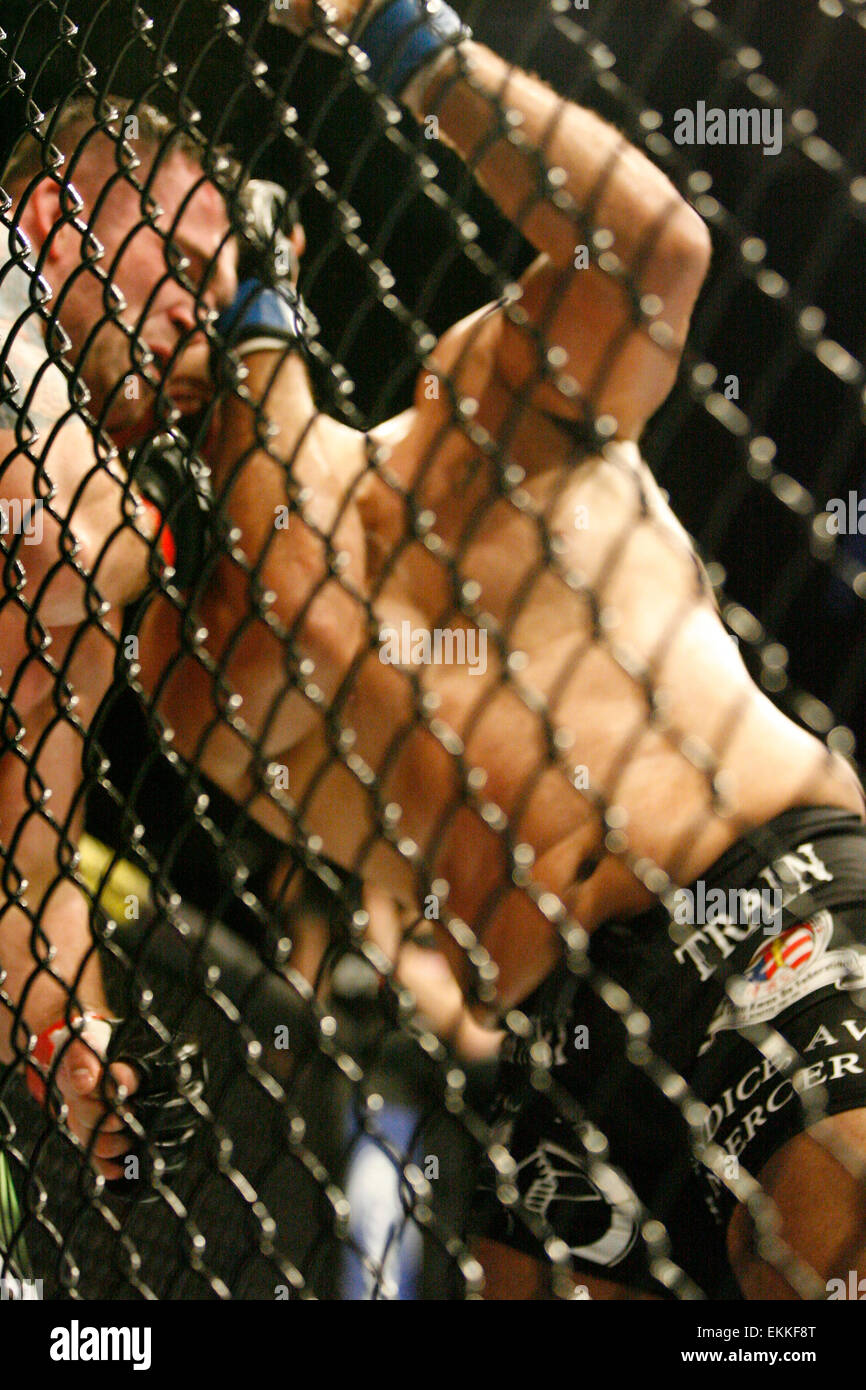 Mma brazilian fighter hi-res stock photography and images - Alamy