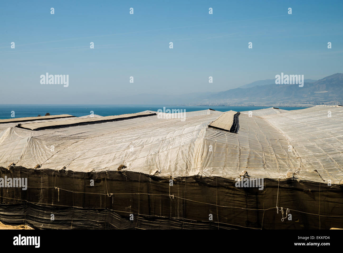 Landscape completely covered by the plastic of agricultural greenhouses ...