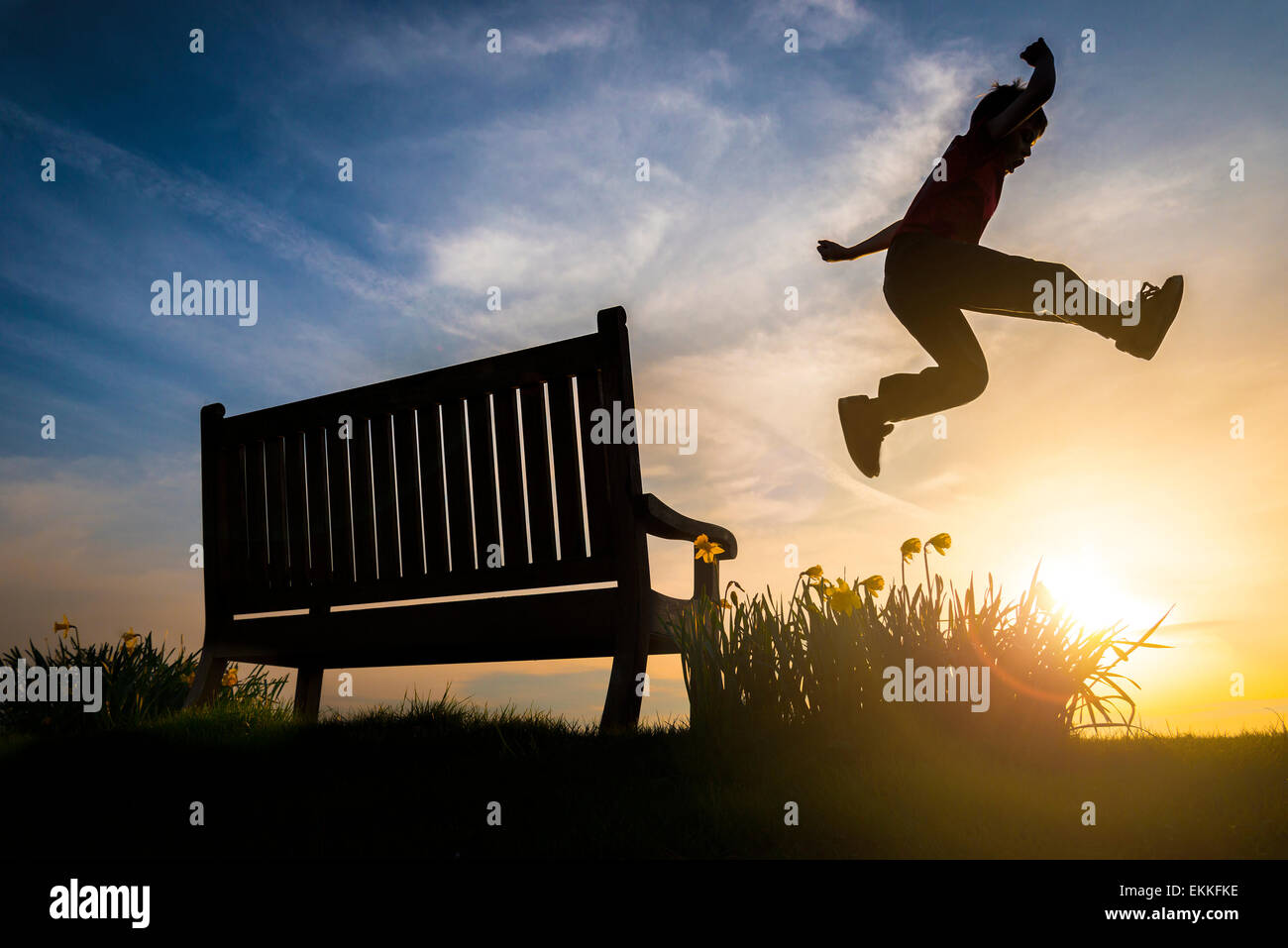 A child jumps from a wooden bench over spring flowers at sunset Stock ...