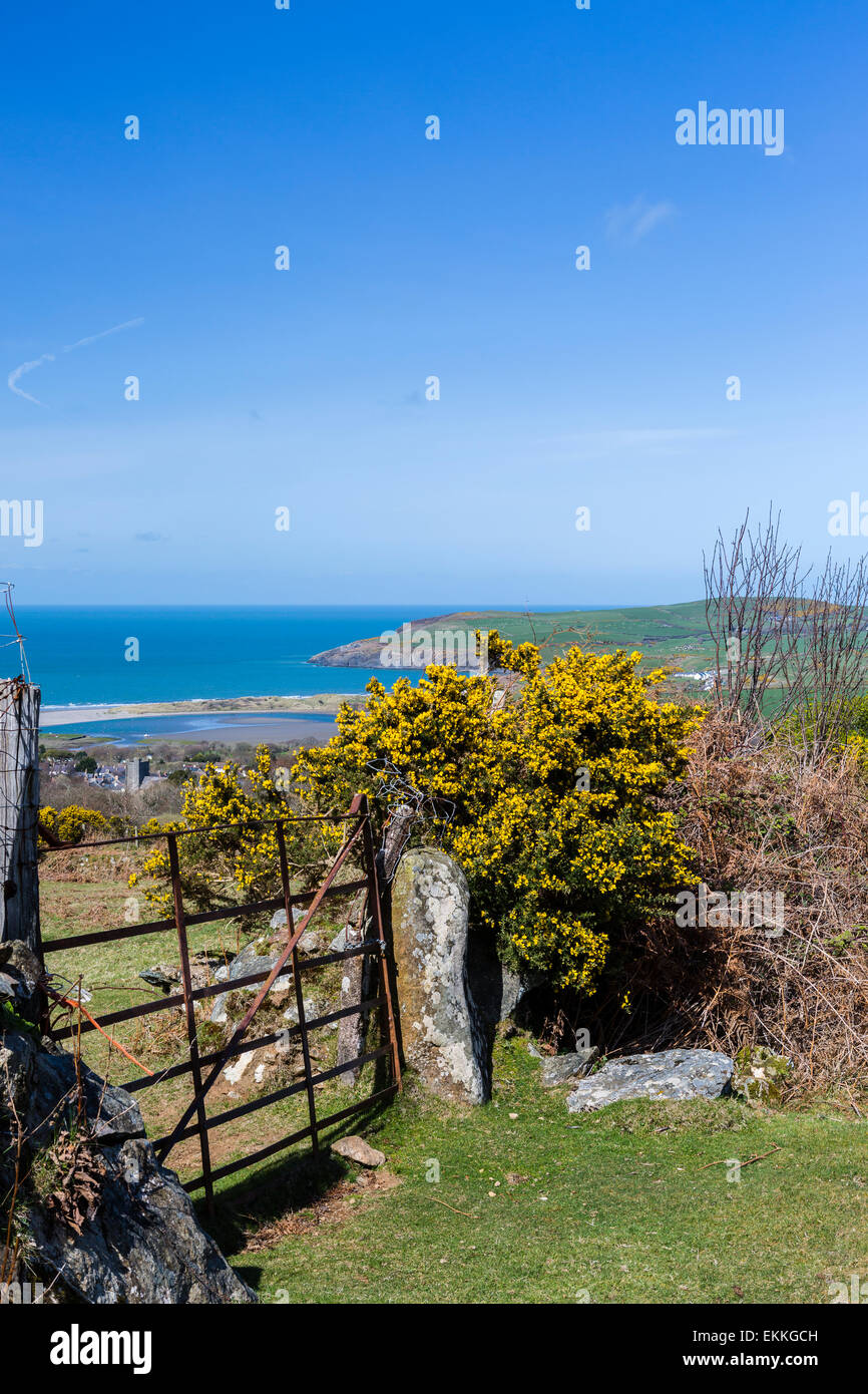 The town of Newport, Pembrokeshire as seen from the slopes of Carn ...