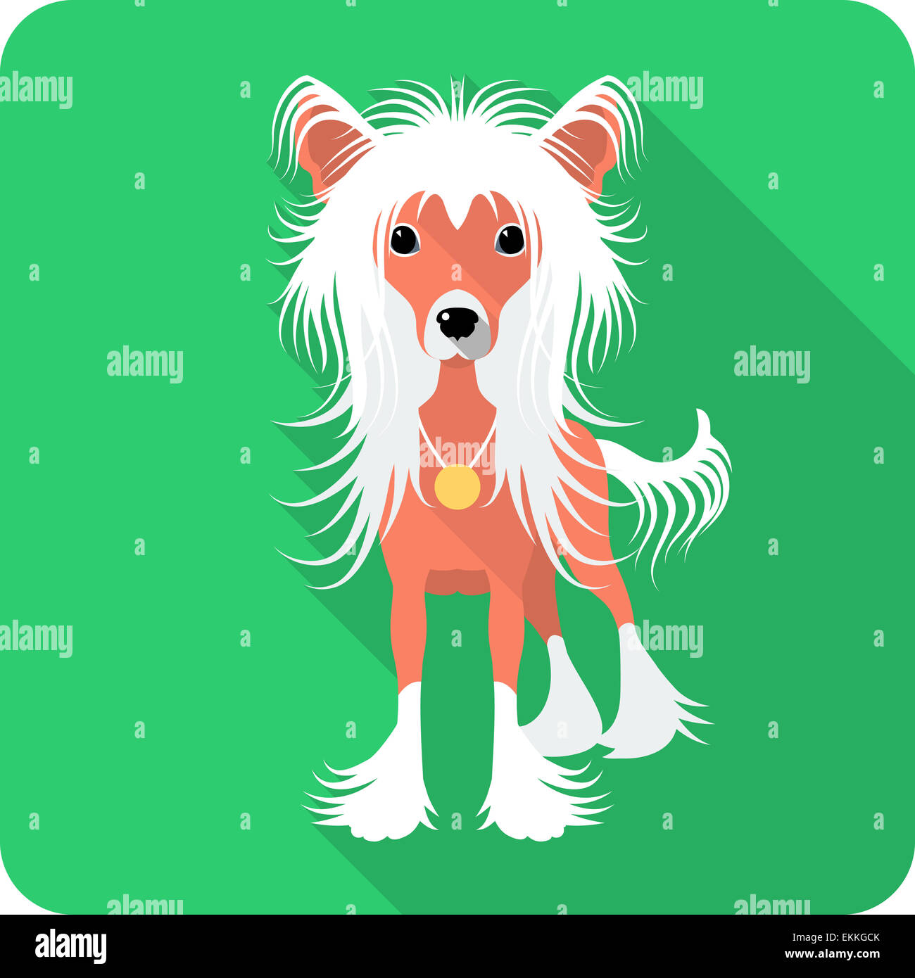 Chinese character for dog hi-res stock photography and images - Alamy