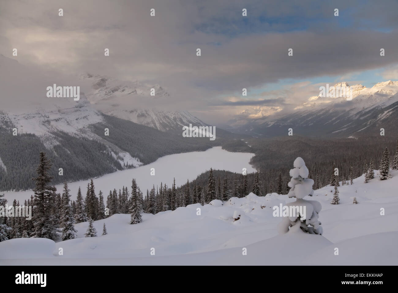 Peyto lake. Sunset. Canadian Rocky mountains. Banff National park ...