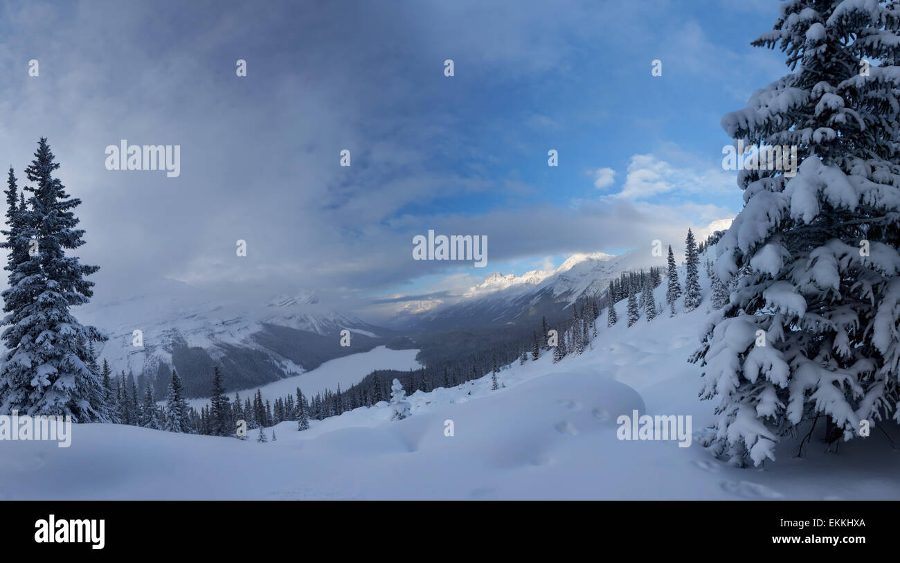 Peyto lake. Sunset. Canadian Rocky mountains. Banff National park ...