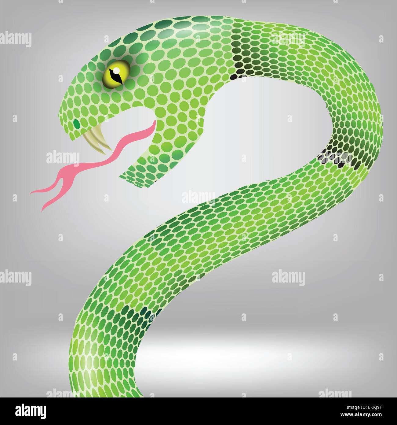 Ferocious snake hi-res stock photography and images - Alamy