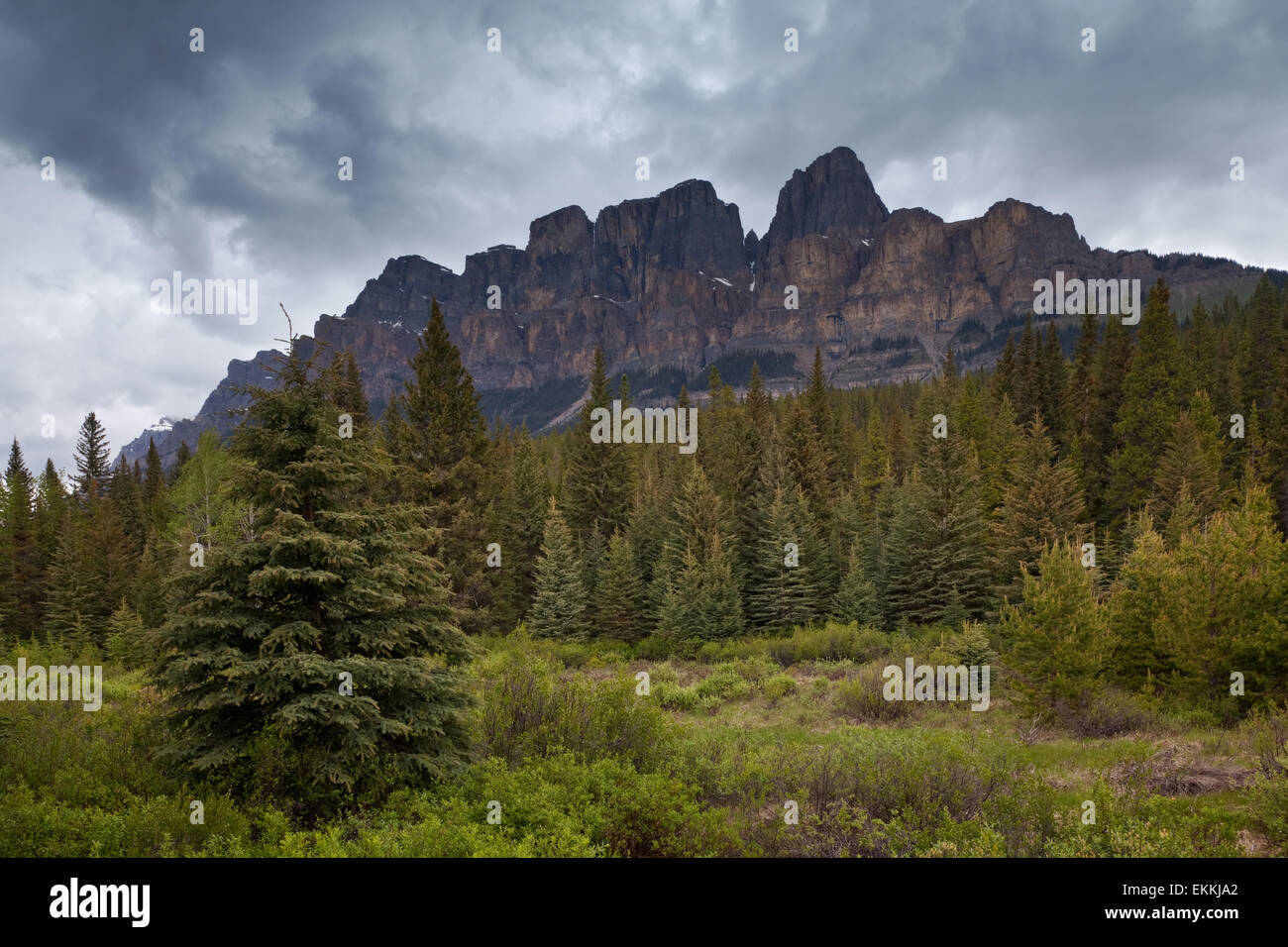 Castle mountain. Banff National park. Alberta. Canada. Rocky mountains ...