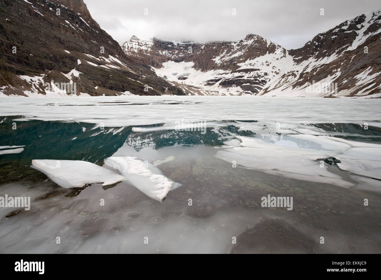 Lake McArthur with melting ice. Canadian Rocky mountains. Yoho National ...