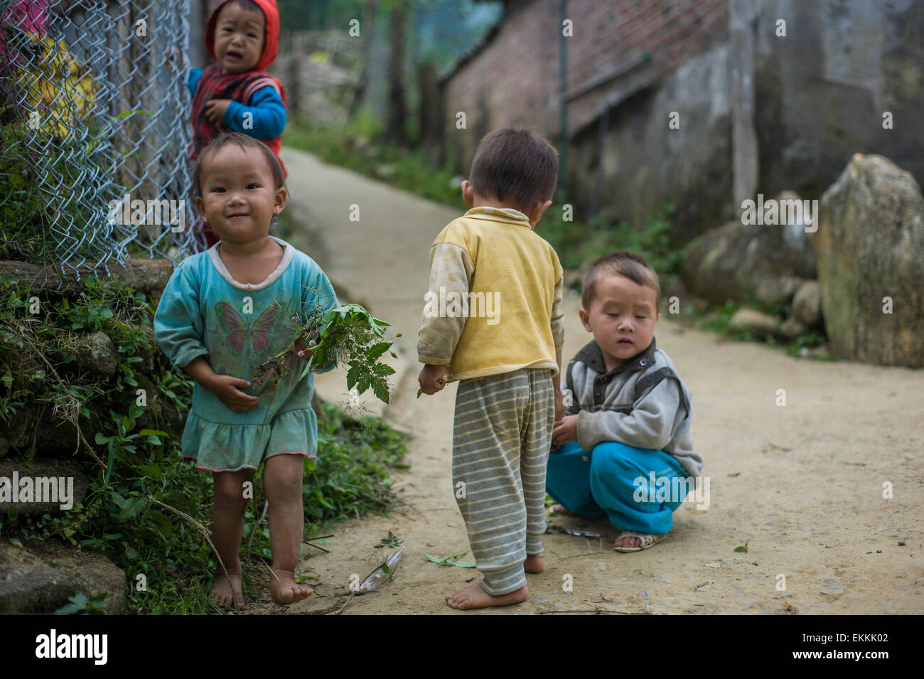 A group of young children in sapa Vietnam Stock Photo - Alamy