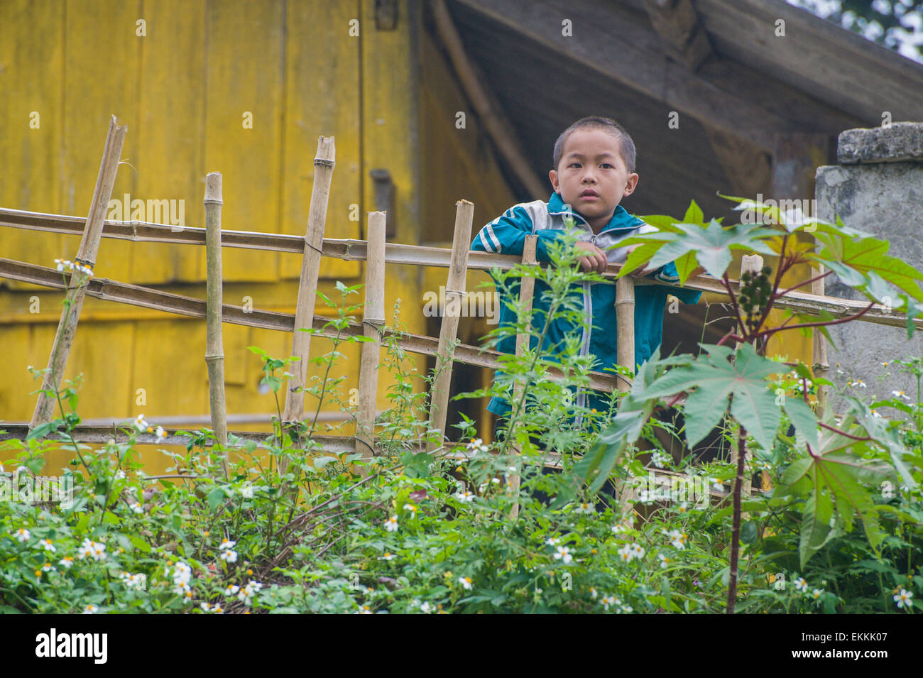 A little boy looking into the distance in Sapa Vietnam Stock Photo - Alamy