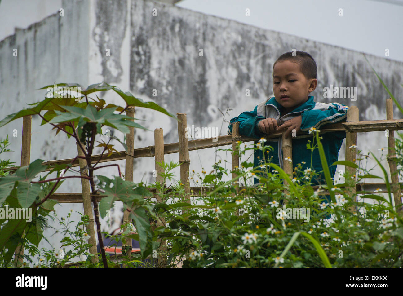 A little boy looking into the distance in Sapa Vietnam Stock Photo - Alamy