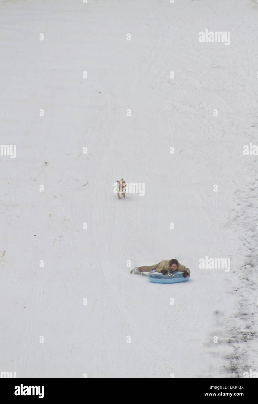 Man chasing dog hi-res stock photography and images - Alamy