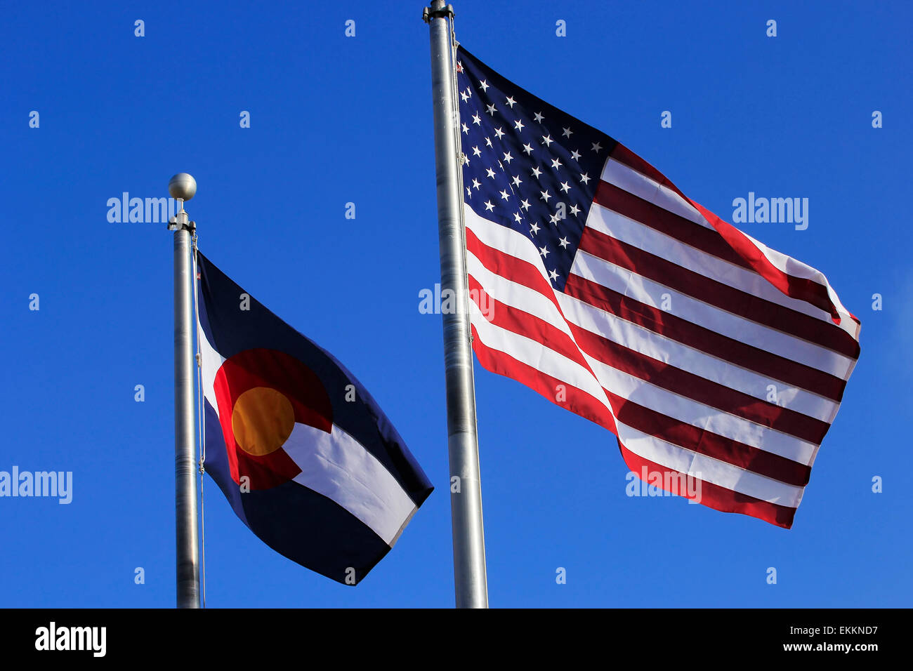 National flag of United States and state flag of Colorado flying in a ...
