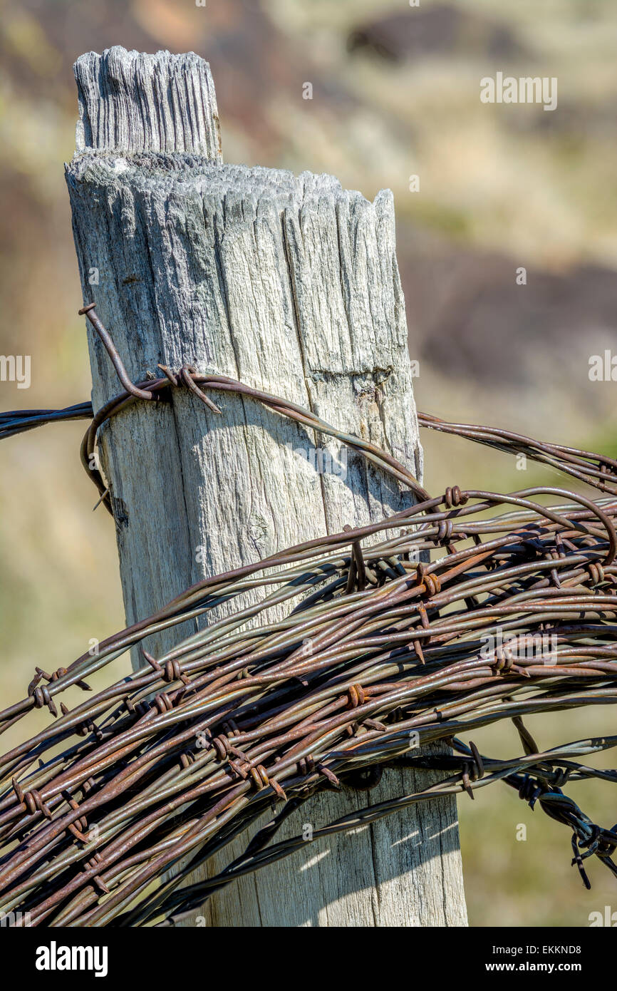 Rusted wire hi-res stock photography and images - Alamy