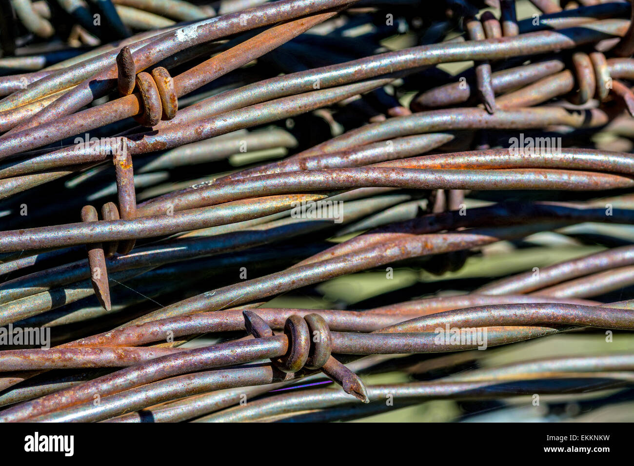 Risted hi-res stock photography and images - Alamy