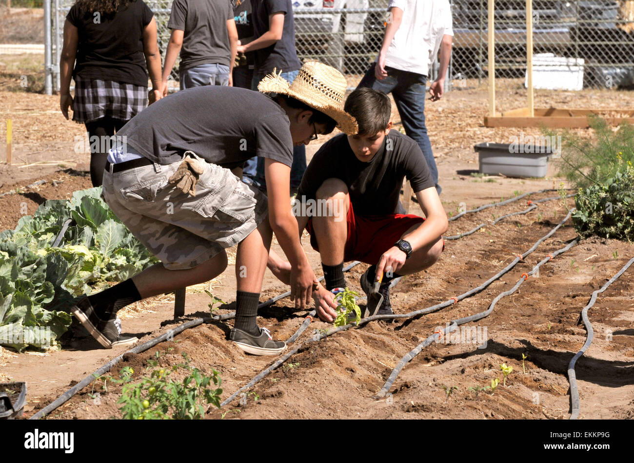 Children farm irrigation hi-res stock photography and images - Alamy