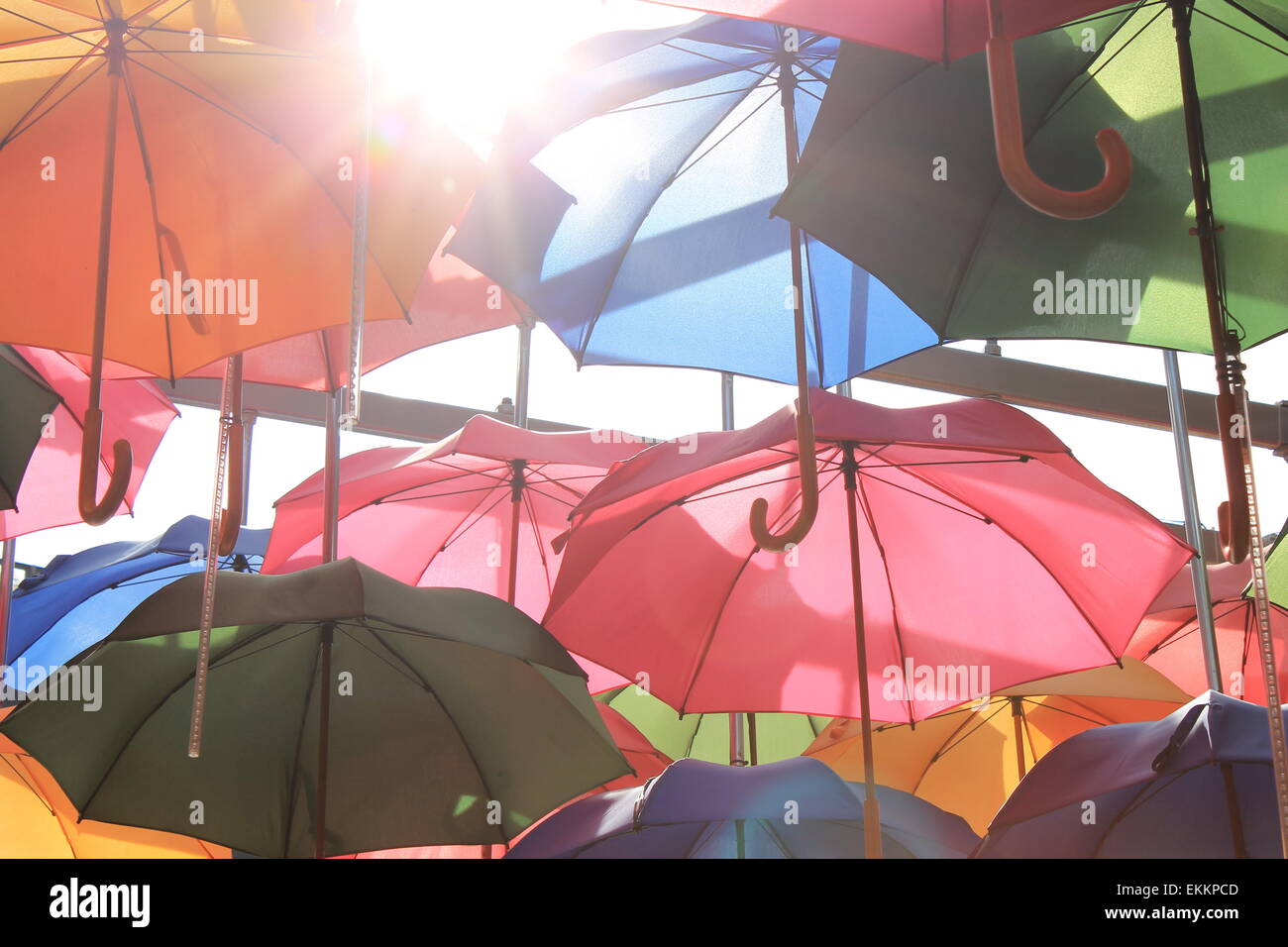 Concept shot of umbrellas of different colors in the air stock, photo ...