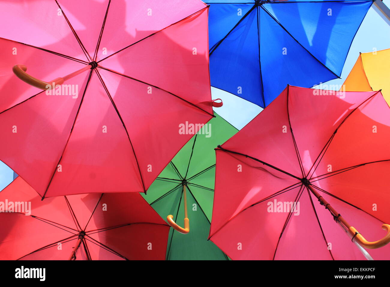 Concept shot of umbrellas of different colors in the air stock, photo ...