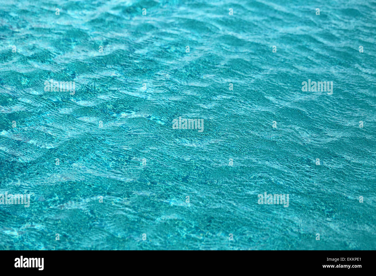 Clear blue water hi-res stock photography and images - Alamy