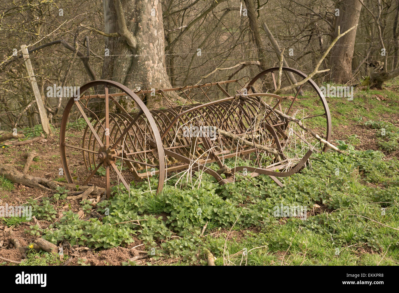 Decaying hay rake hi-res stock photography and images - Alamy