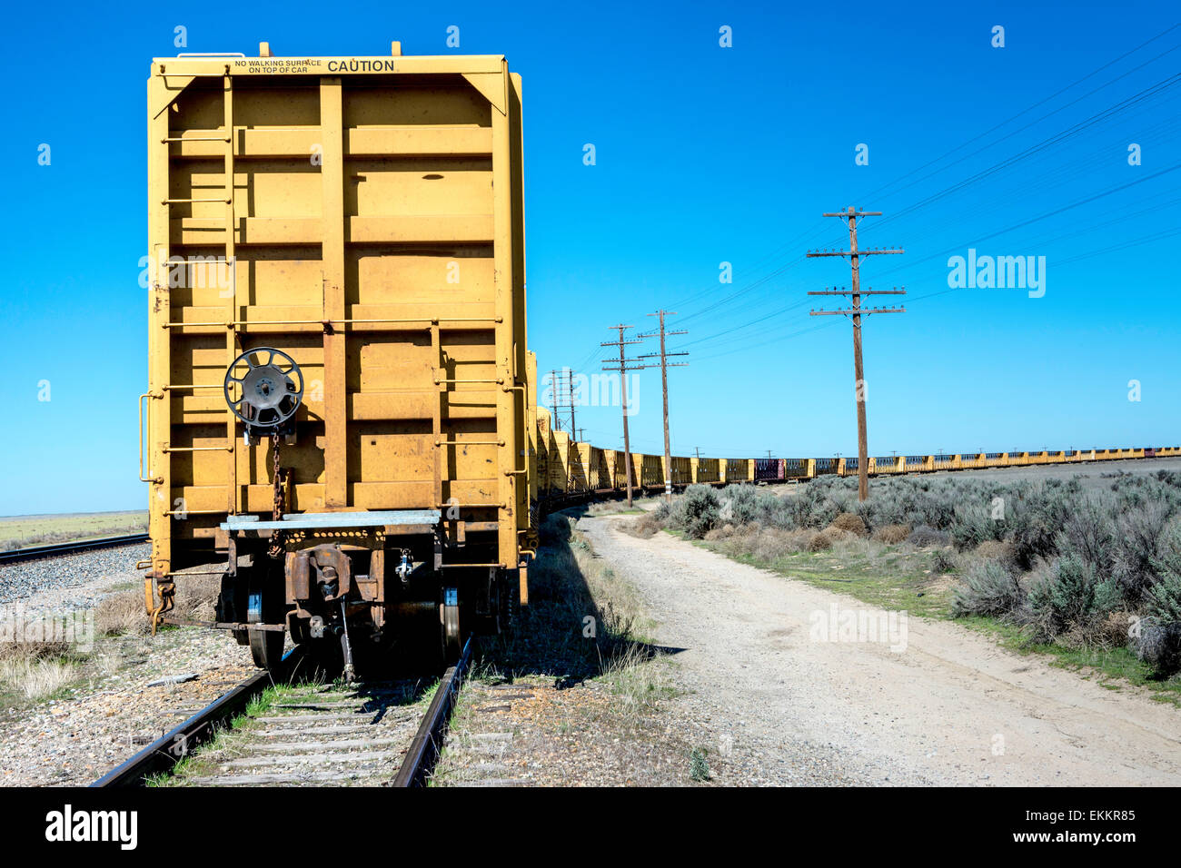 Many yellow train cars abandoned and parked Stock Photo - Alamy