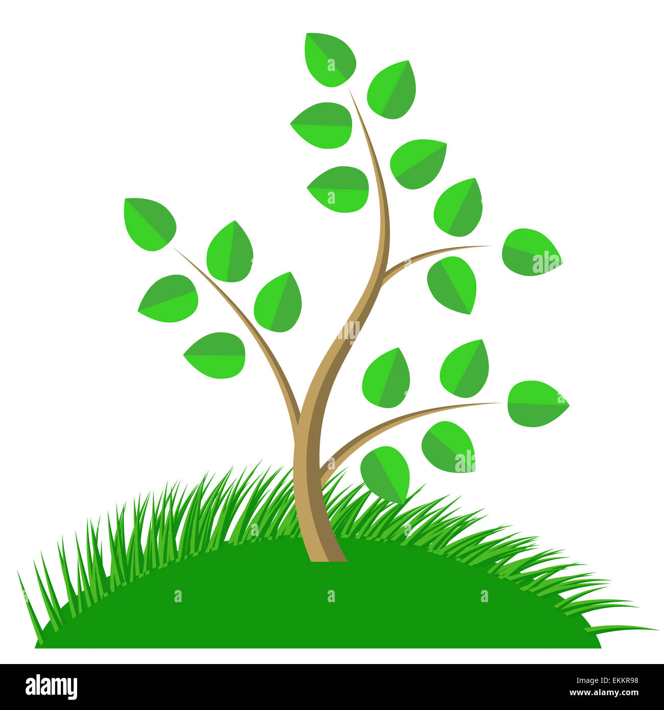 Green Cartoon Tree Stock Photo - Alamy