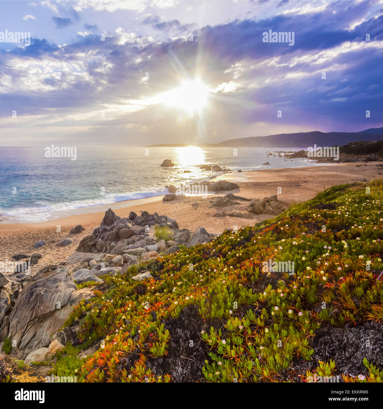Beautiful colorful calm coastal landscape in spring on Corse, France ...