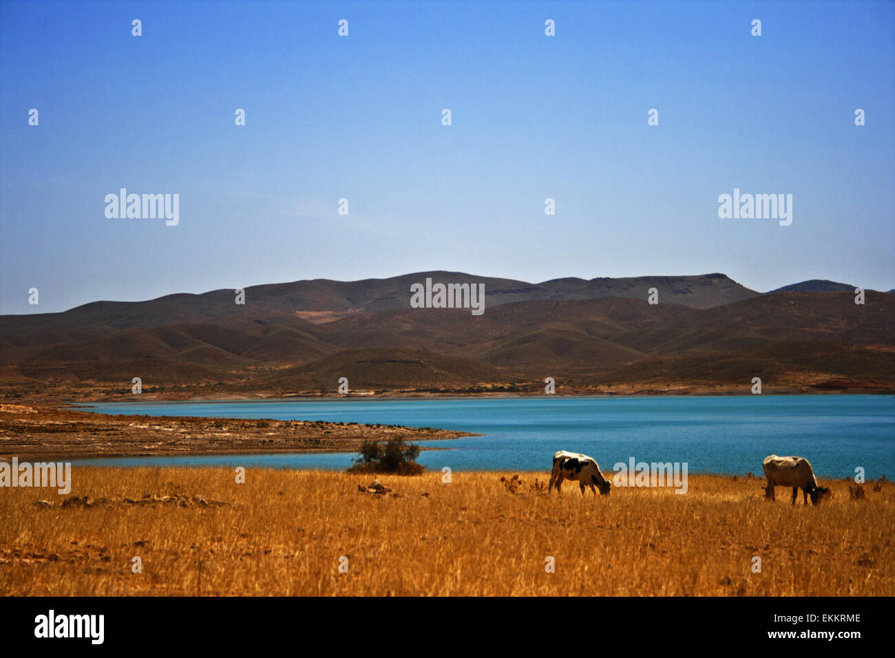 A beautiful landscape, with a lake view Stock Photo - Alamy