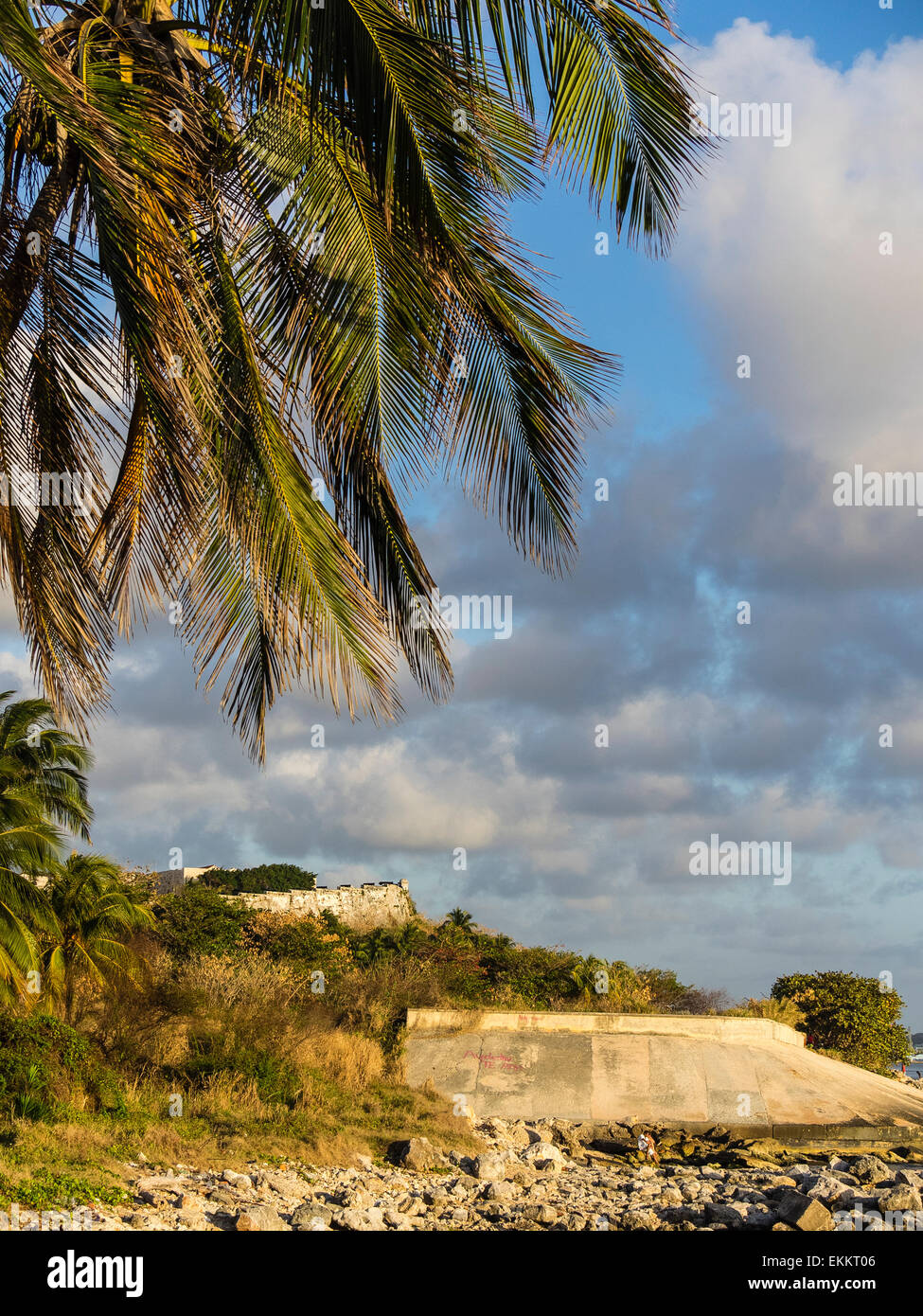 Distant view of Morro Castle framed by palm trees Stock Photo - Alamy